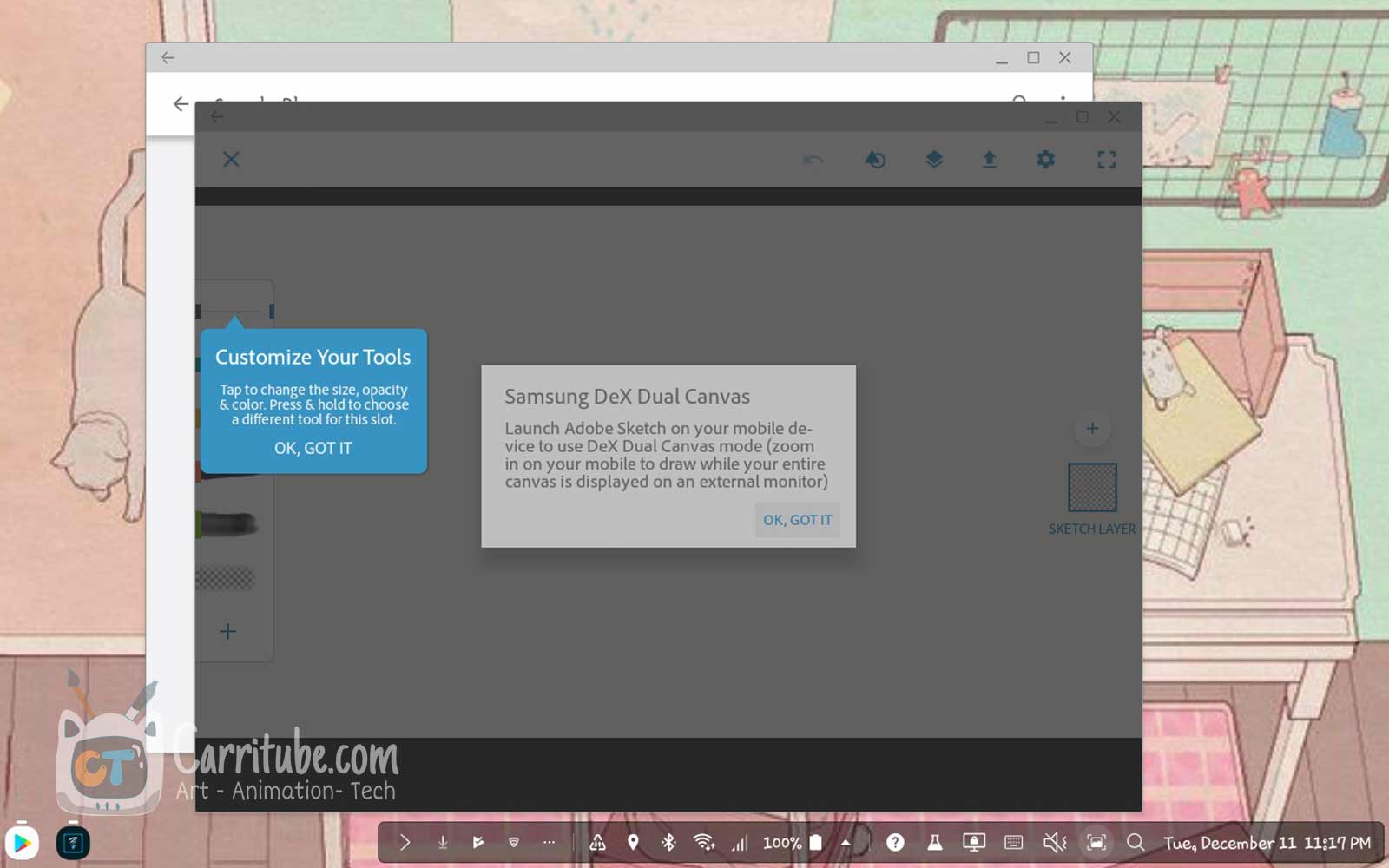 Carritube - How to connect to Samsung DeX Dual Canvas Mode using the ...